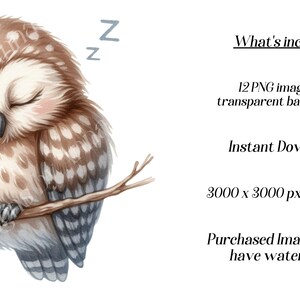 Watercolor Sleepy Owl Clipart: Nursery Art, Woodland Pngs (digital ...