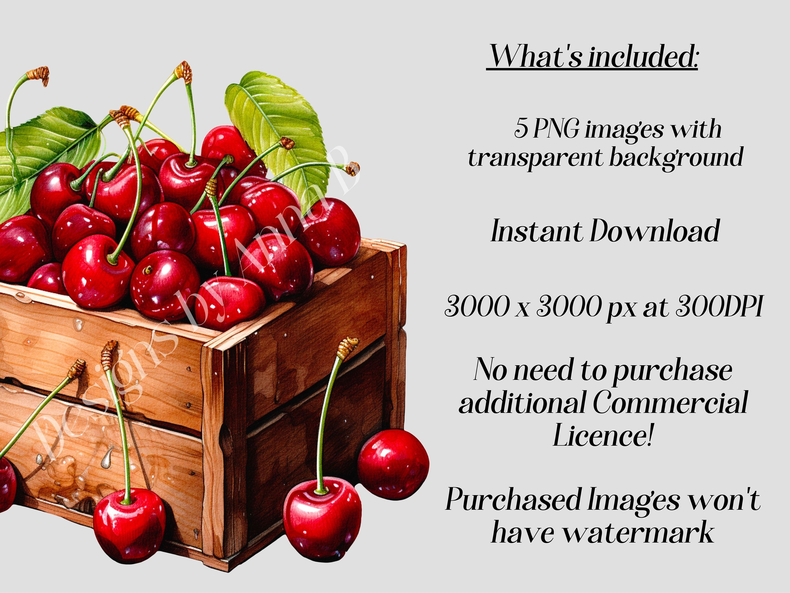 Watercolor Cherry Clipart: 5 PNG Fruit Illustrations (digital Download ...