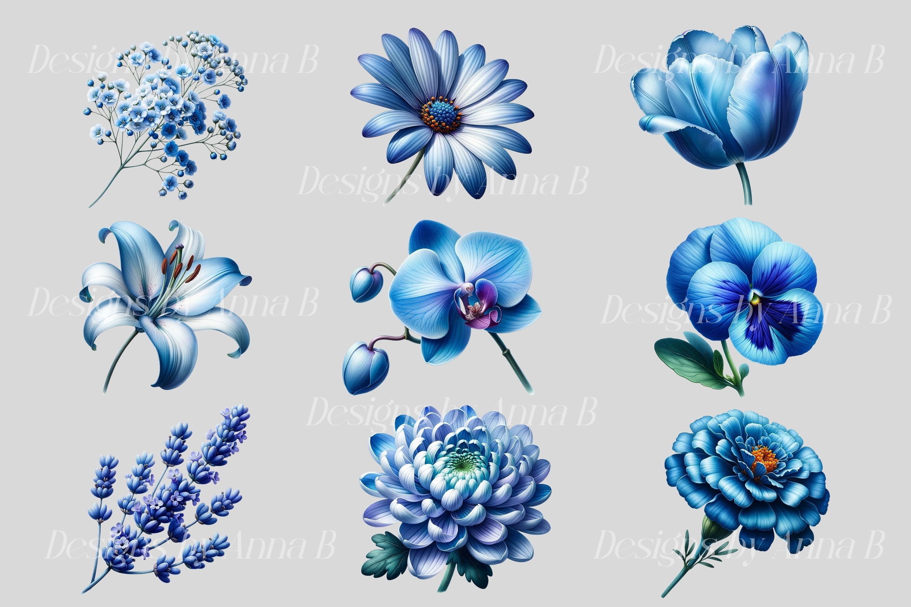 Watercolor Blue Flowers Clipart: 67 PNG Floral Illustrations (digital ...