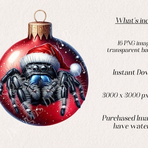 Christmas Jumping Spider Clipart: Watercolor Holiday PNG Graphics ...