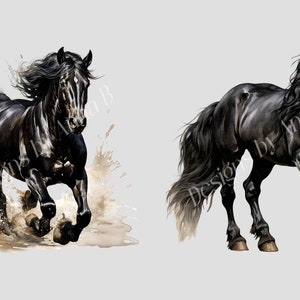 Watercolor Black Stallion Clipart, 10 High Quality PNG Files, Black ...