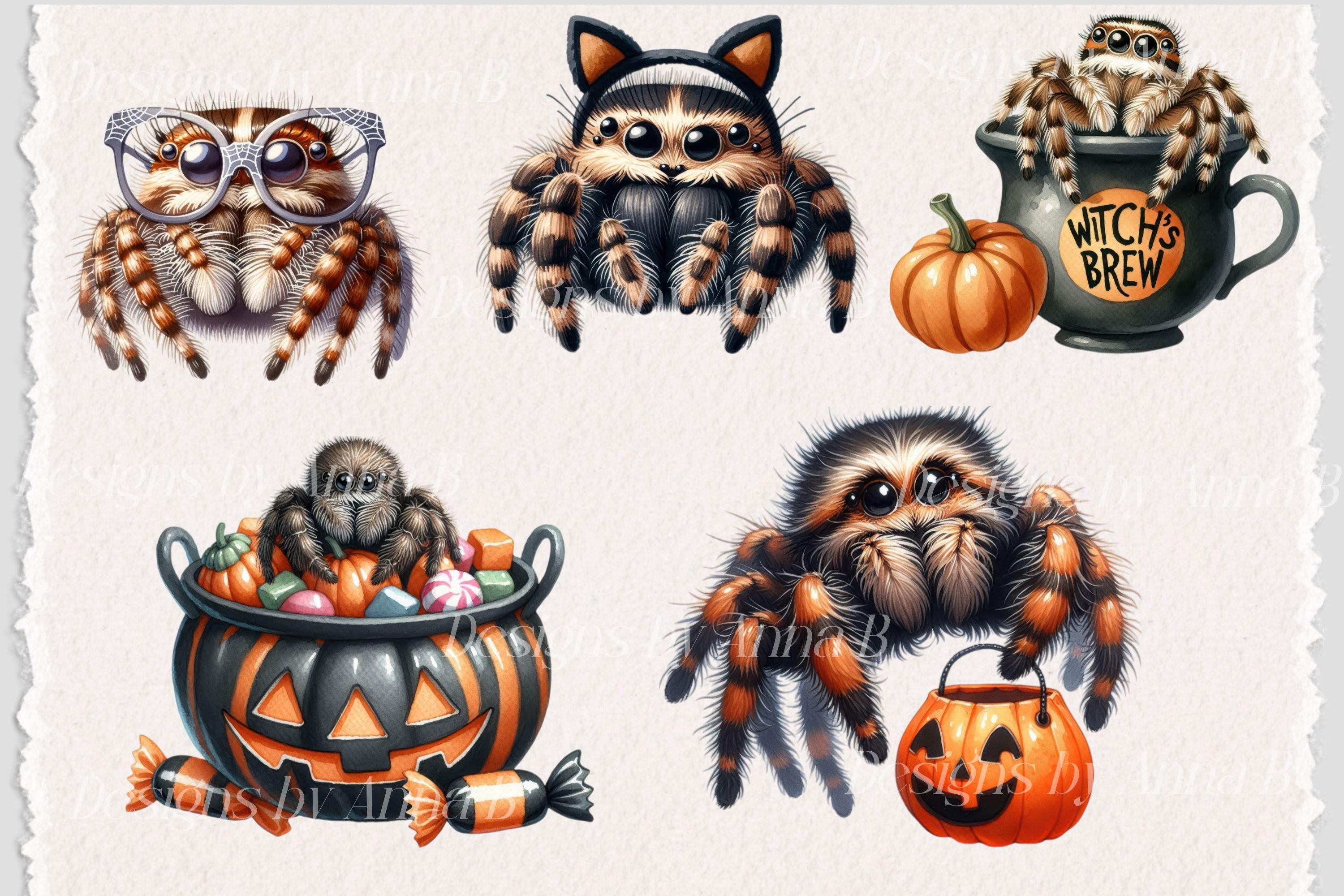 Spooky Halloween Jumping Spider Watercolor Clipart (digital Download ...
