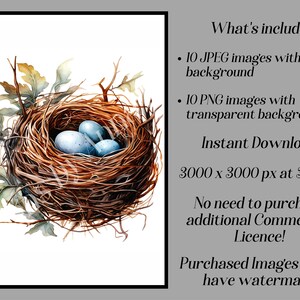 Watercolor Bird Nest Clipart, 10 High Quality JPEG and PNG Files, Eggs ...