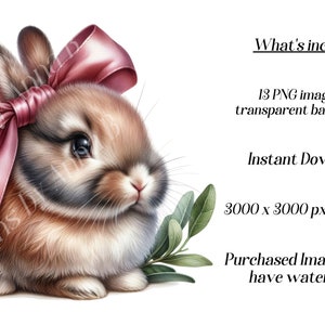 Watercolor Bunny With Bow Clipart, 13 PNG Files, Cute Rabbit, Baby ...