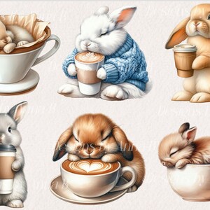 Watercolor Bunny Clipart: Sleepy Rabbit & Coffee PNG Graphics (digital ...