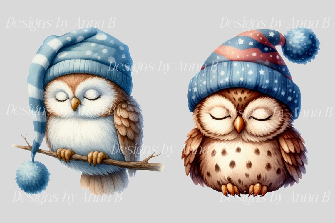 Watercolor Sleepy Owl Clipart: Nursery Art, PNG Files (digital Download ...