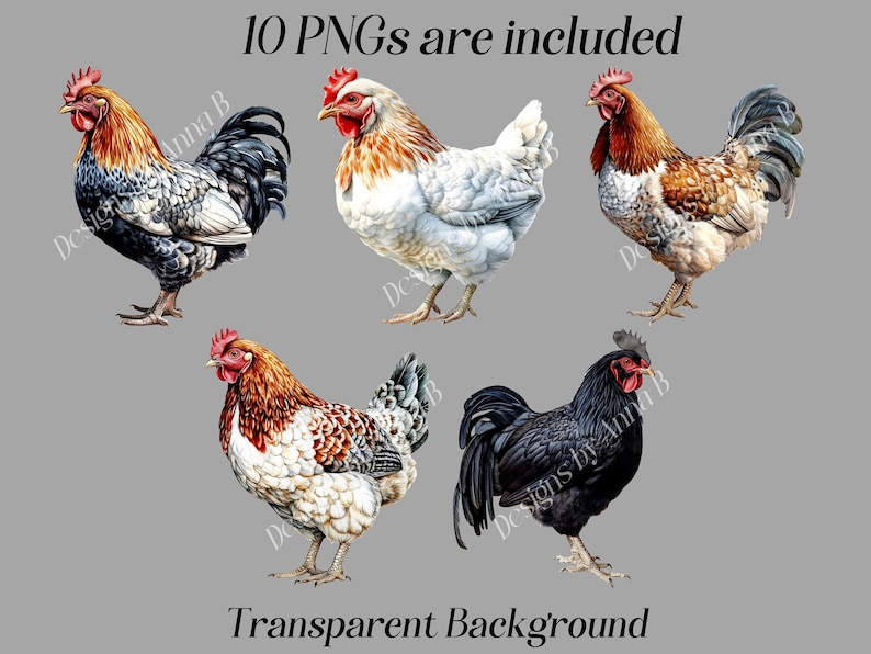 Watercolor Chicken Clipart 10 High Quality JPEG and PNG - Etsy