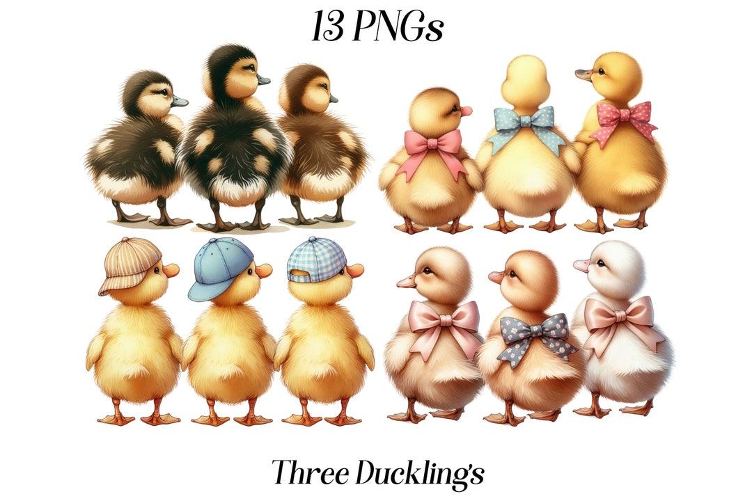 Watercolor Three Cute Ducklings Clipart, 13 PNG Files, Cute Duck, Baby ...