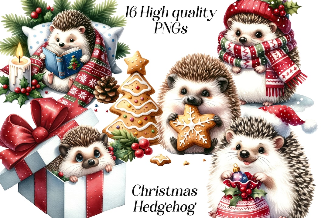 Watercolor Christmas Hedgehog Clipart, 16 High Quality PNG Files ...