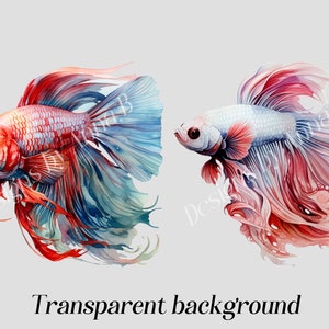 Watercolor Betta Fish Clipart, 10 High Quality PNG Files, Fish Clip Art ...