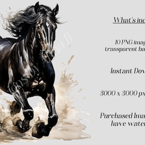 Watercolor Black Stallion Clipart, 10 High Quality PNG Files, Black ...