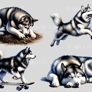Watercolor Siberian Husky Clipart: 33 PNG Dog Breed Graphics (digital ...