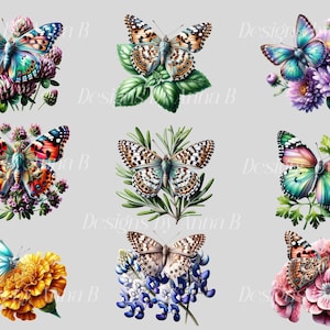 Watercolor Butterfly Clipart: 50 PNG Files (digital Download) - Etsy