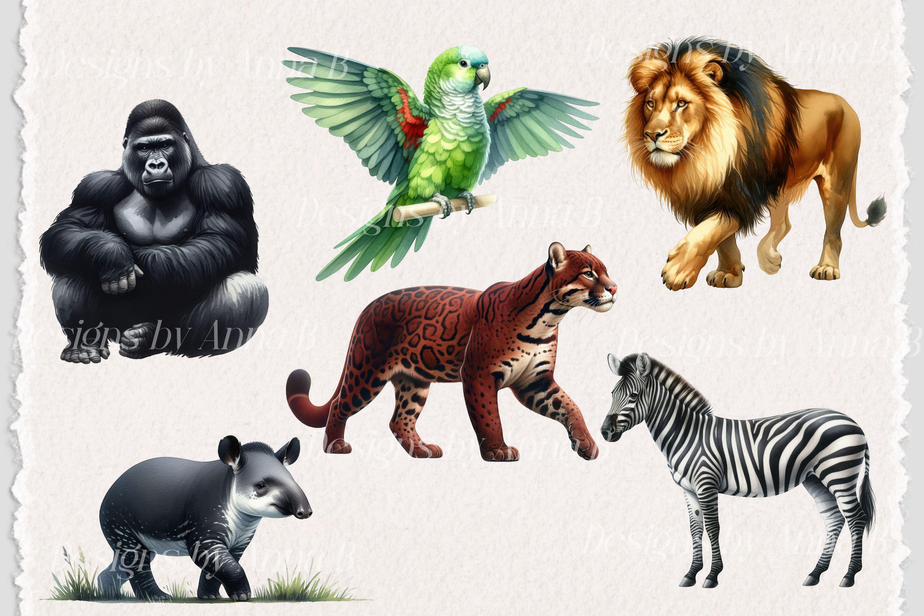 Jungle Animals Clipart: 35 Wild Animal Pngs (digital Download) - Etsy