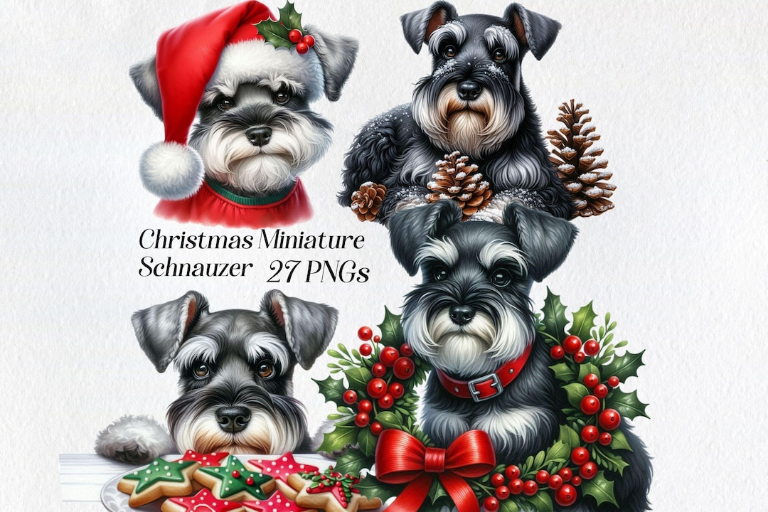 Christmas Miniature Schnauzer Clipart, Watercolor Schnauzer Clip Art ...