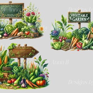 Watercolor Garden Patch Clipart, 14 PNG Files, Vegetables, Countryside ...