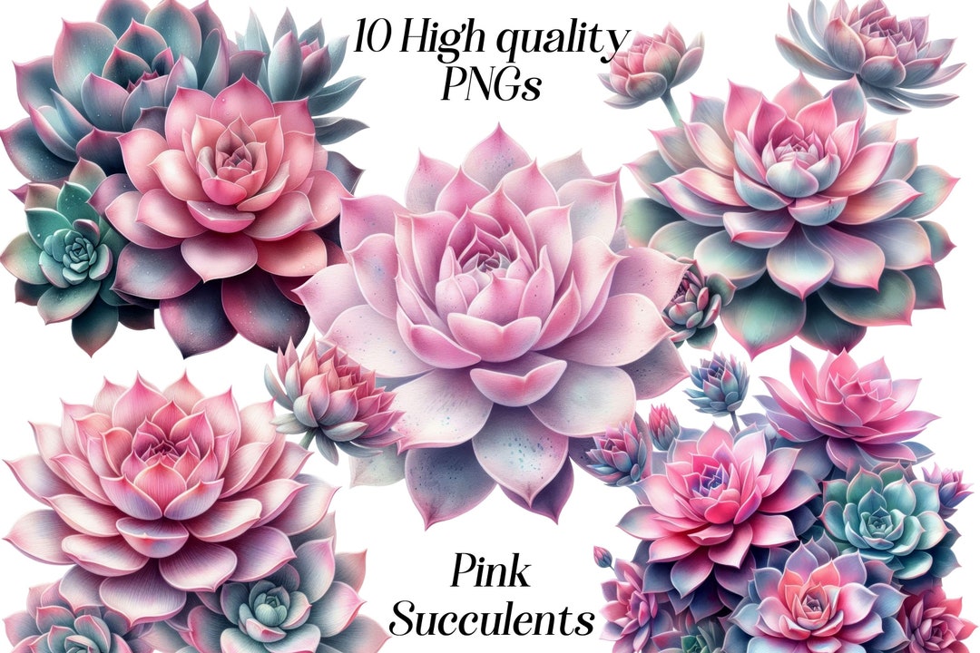 Watercolor Pink Succulents Clipart: 10 PNG Botanical Printables ...