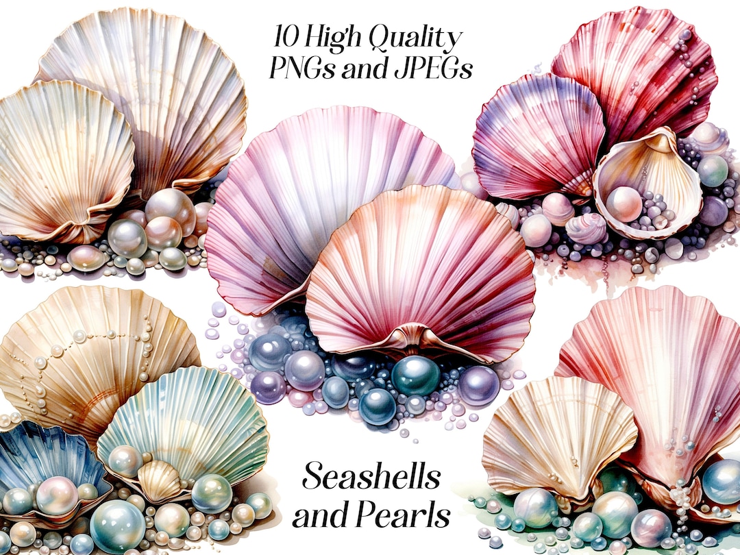 Watercolor Seashells & Pearls Clipart: Nautical PNG JPEG Graphics ...