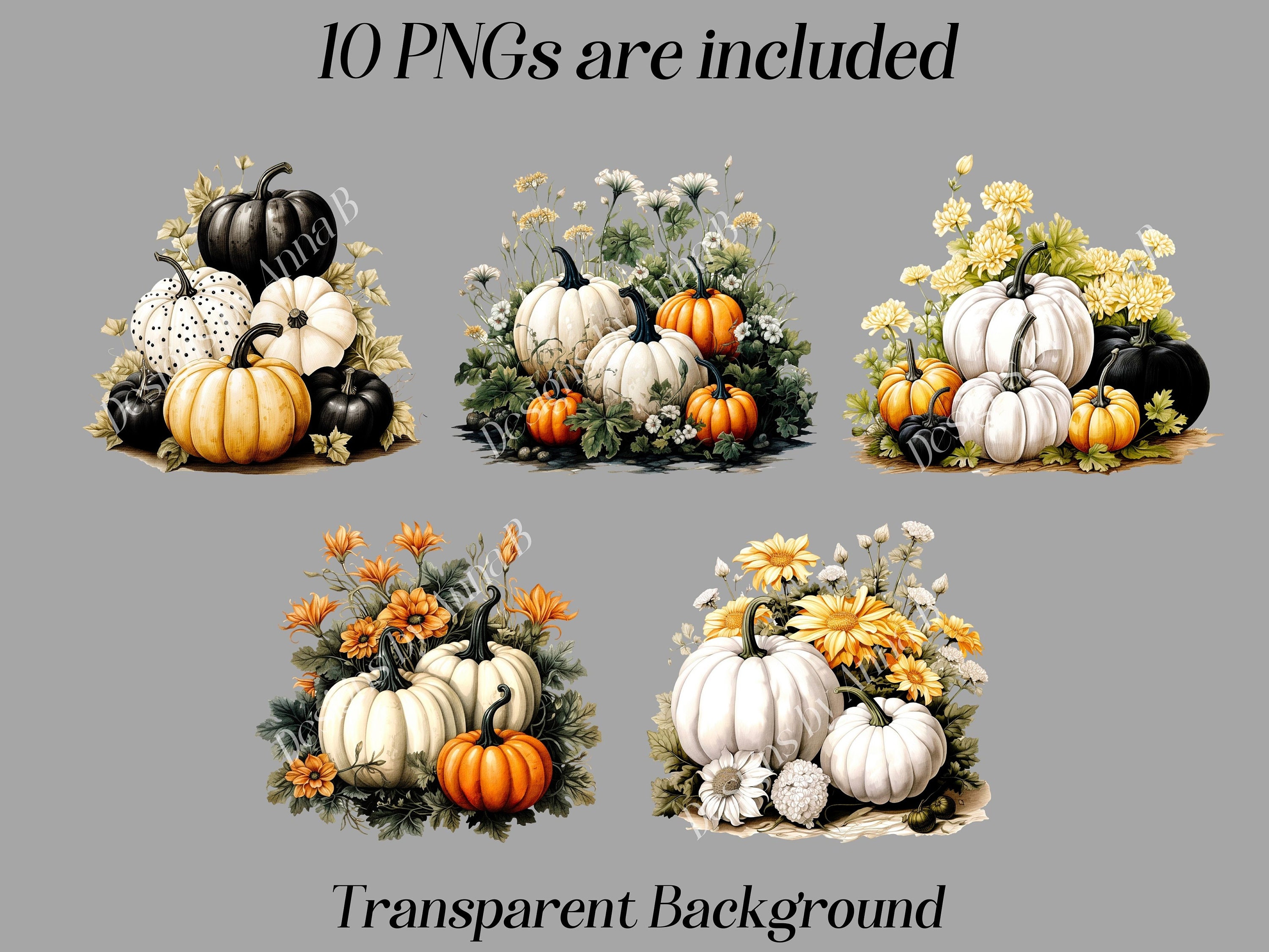 Watercolor Pumpkin Clipart: Fall Autumn Printables (JPEG, PNG) - Etsy