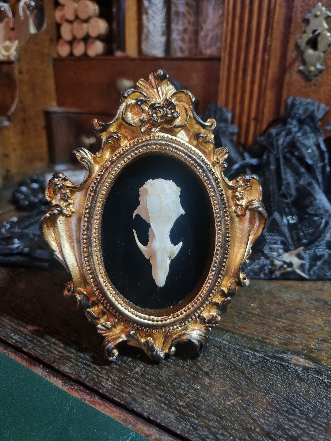 Skull / Pelvis Bone in Gold Frame - Etsy