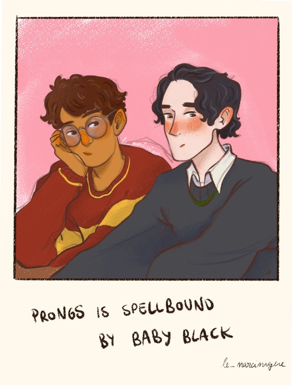 Sirius Black And James Potter Fan Art