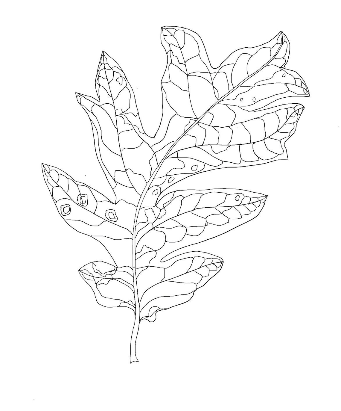 Leaf Drawing Coloring Page No. 2 - Etsy