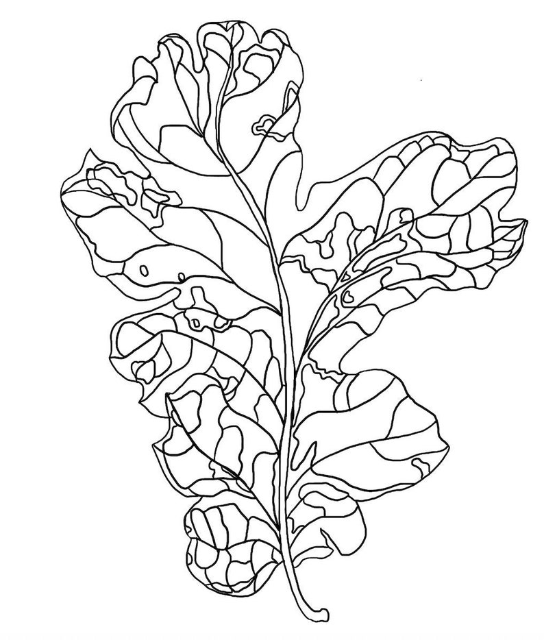 Leaf Drawing Coloring Page No. 1 - Etsy Australia