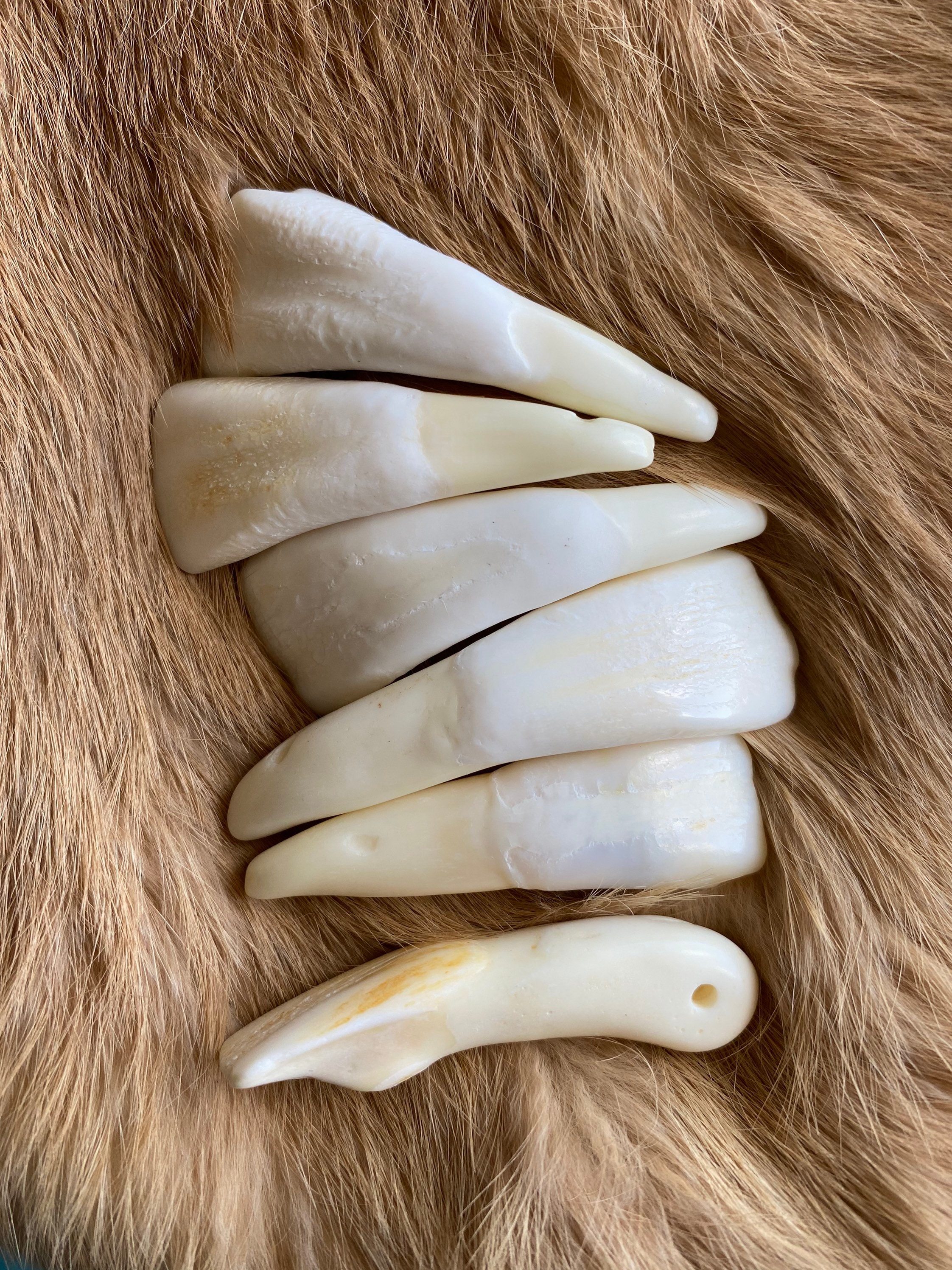 Store 1 — Woodland Wanderland