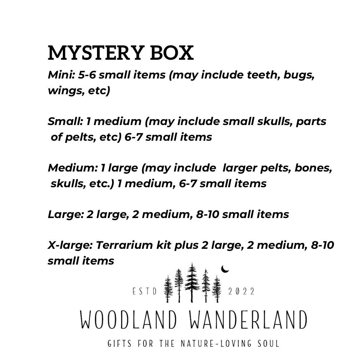 Store 1 — Woodland Wanderland