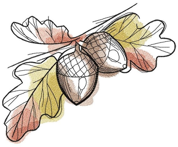 Acorns Machine Embroidery Designs Acorn and Oak Leaf - Etsy