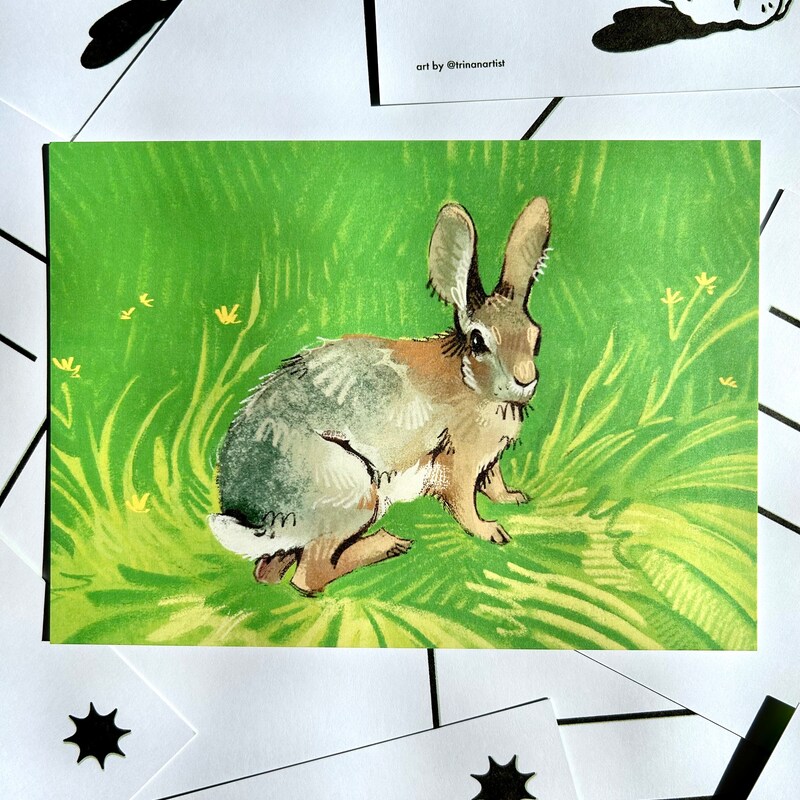 Rabbit Postcard - Etsy