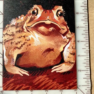Toad Postcard Art Print - Etsy