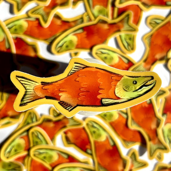 Salmon Vinyl Stickers - Etsy