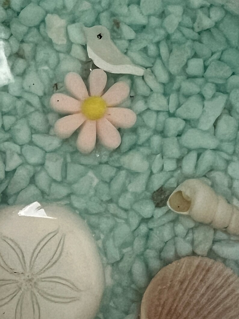 Seashell Keepsake Dish, Sea Turtle Sand Dollar Ceramic Tray - Etsy