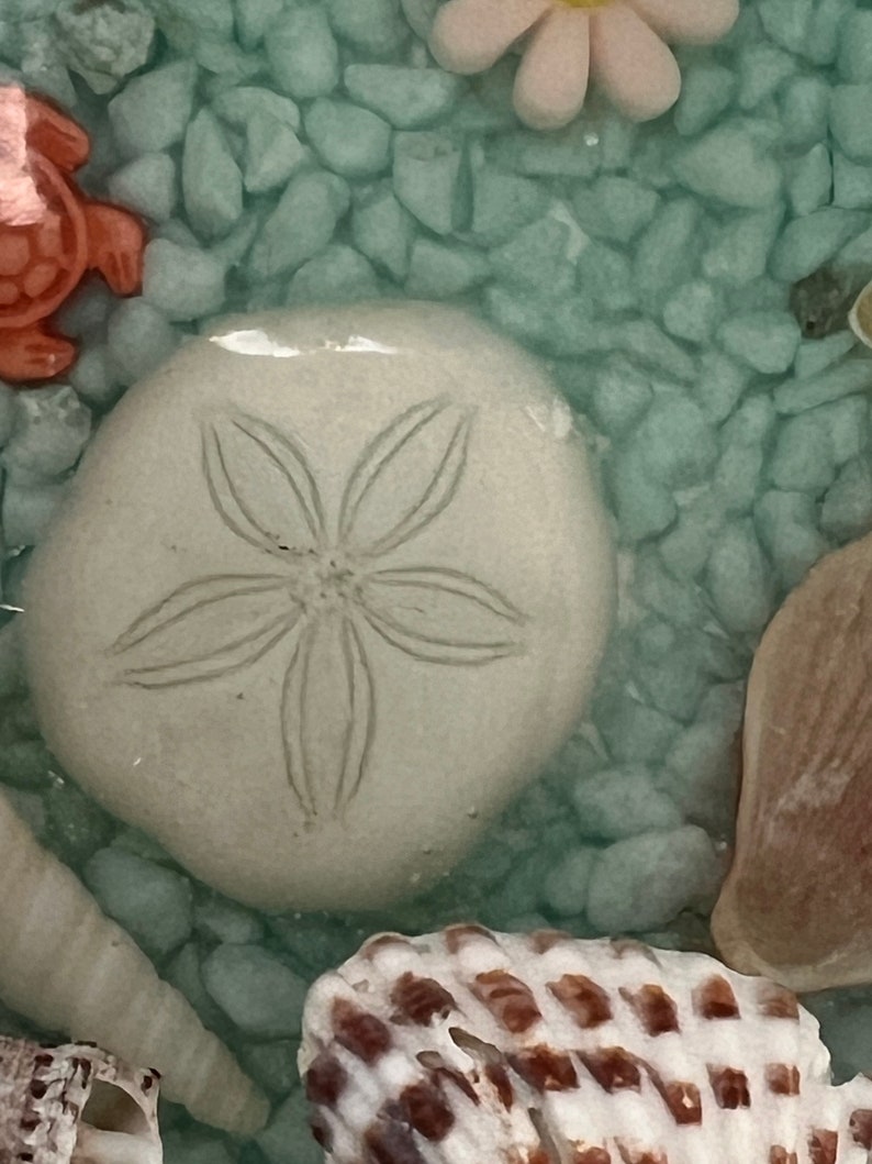Seashell Keepsake Dish, Sea Turtle Sand Dollar Ceramic Tray - Etsy