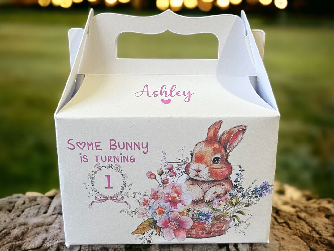 Bunny Lunch Box-gable Box Favor Box Wedding Favor Box Baby Shower Box ...