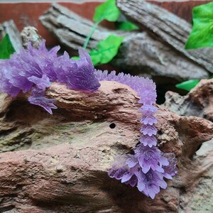 Miniature Lunar Dragon Super Detailed Resin Fidget Toy Authorized ...