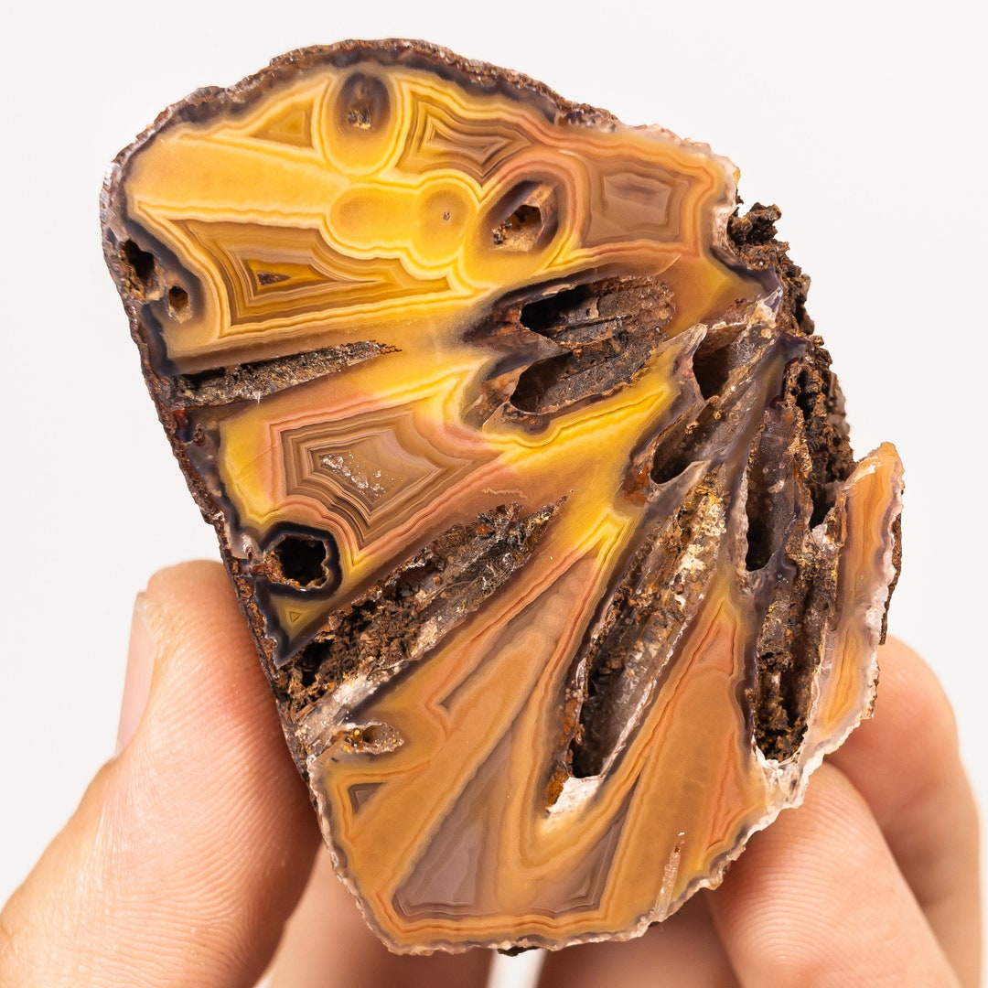 Chocolate Coyamito Agate From Mexico - Etsy