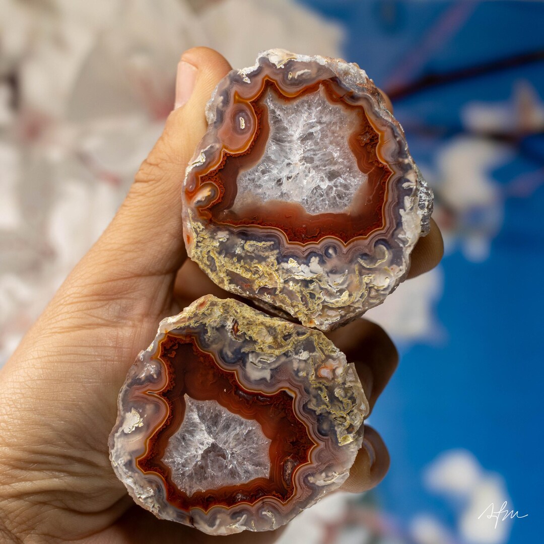 Inner Fire Laguna Agates Etsy