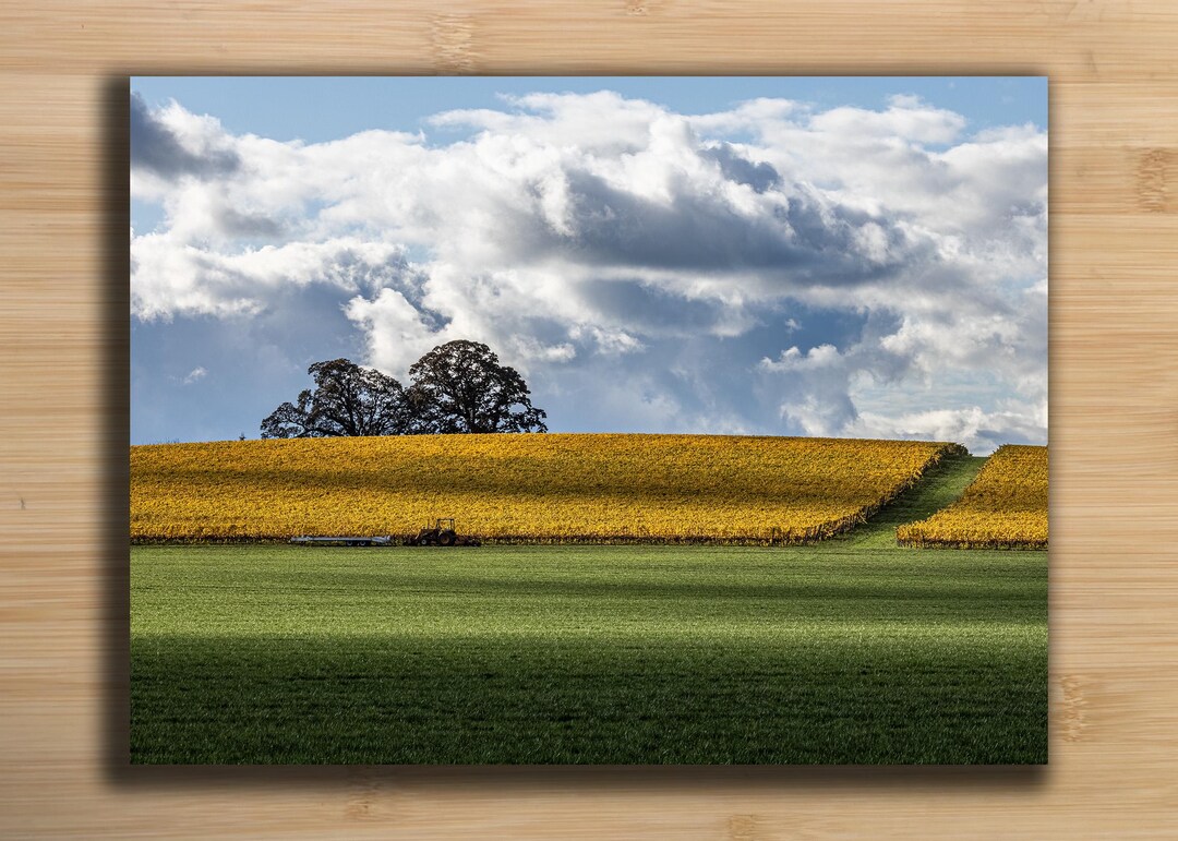P01--oregon Farmland Photo Greeting Card: Handmade Autumn Landscape - Etsy