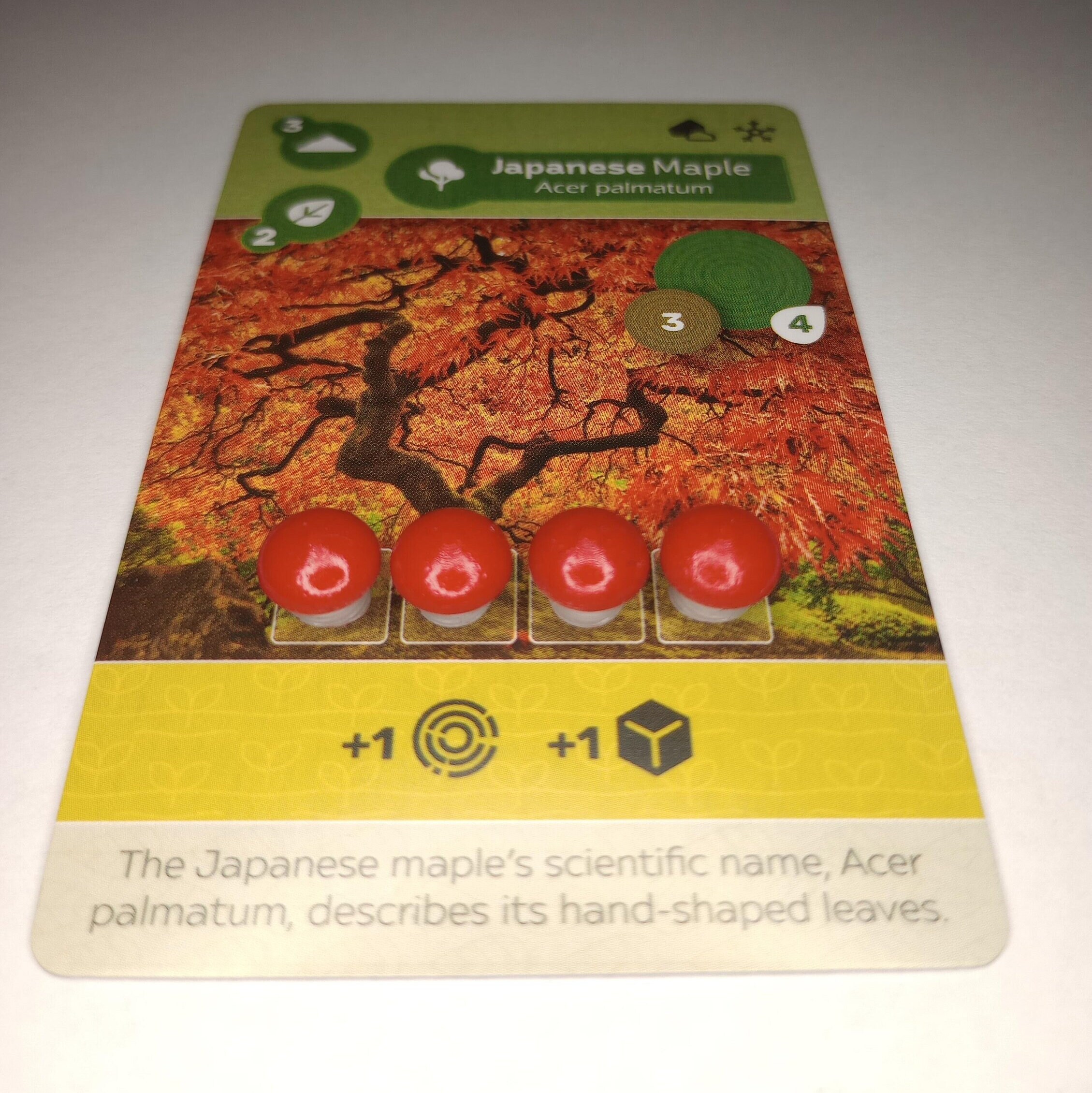 Earth Mushroom Sprout Tokens - Etsy