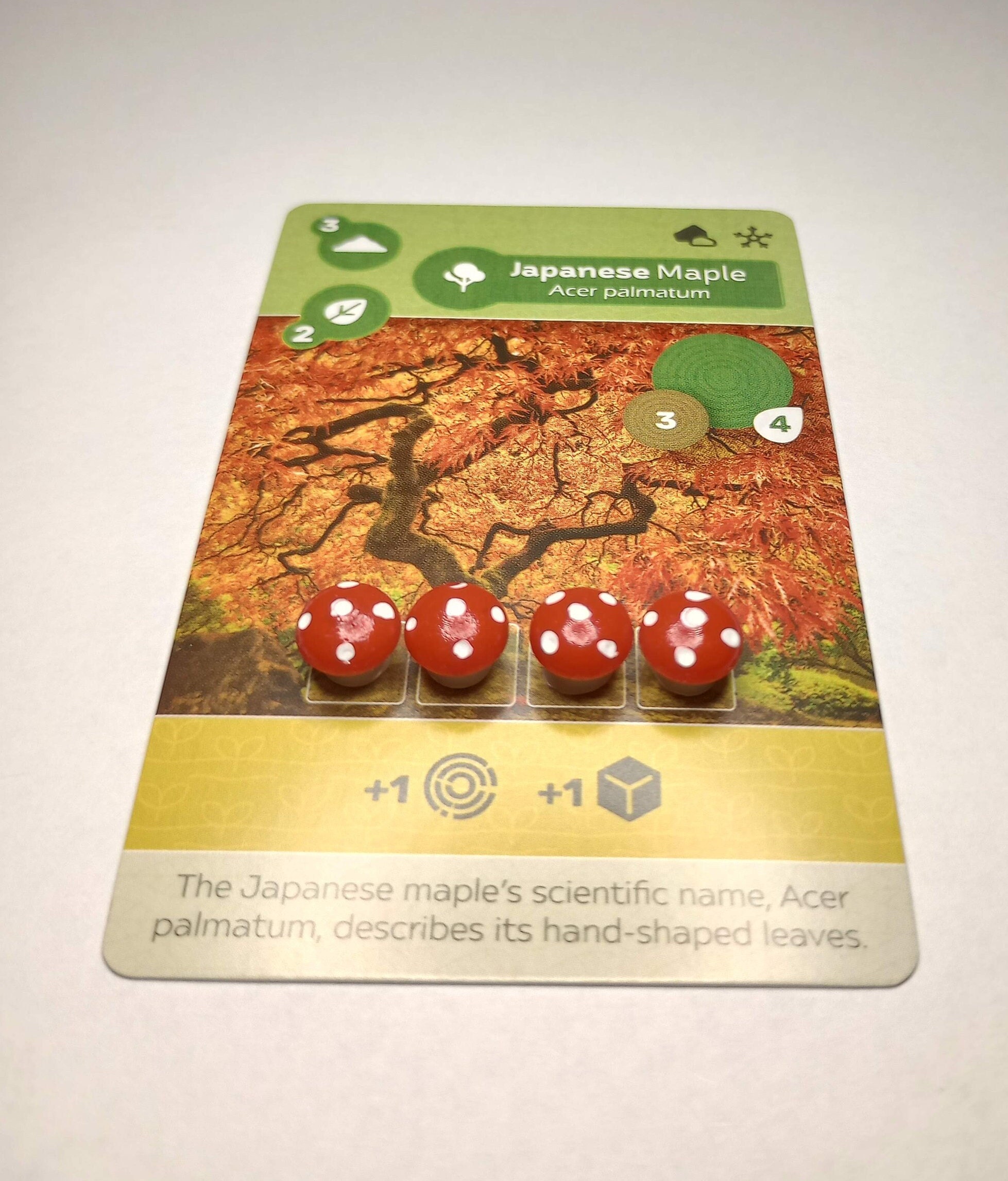 Earth Mushroom Sprout Tokens - Etsy