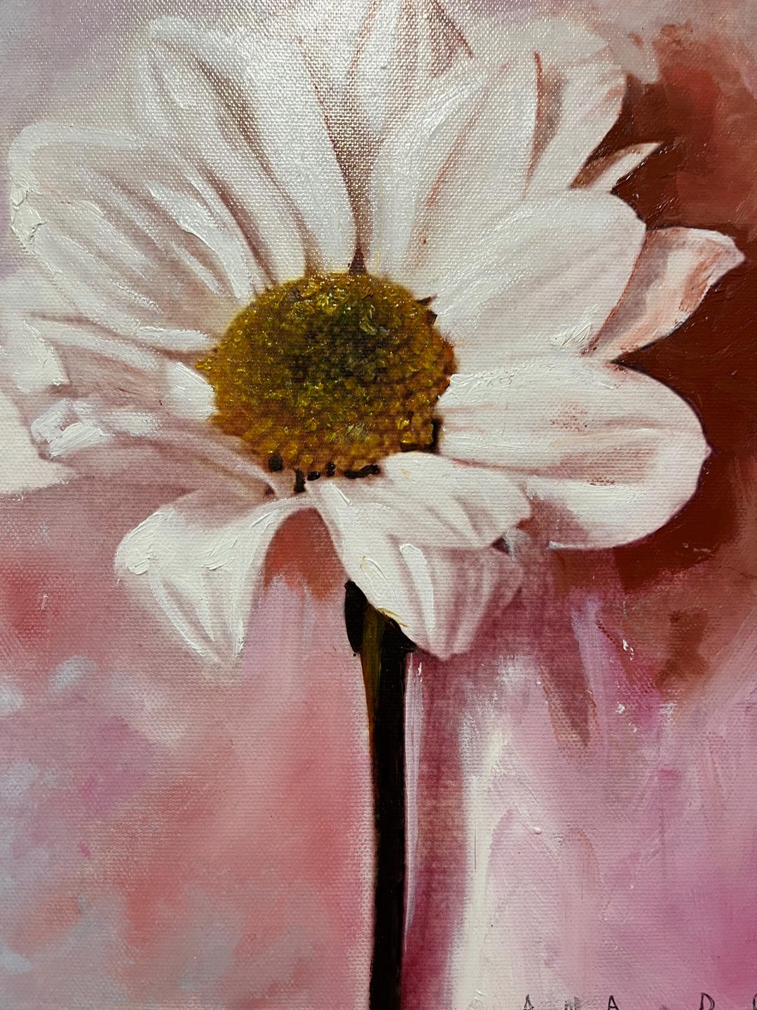Flowers Original Oil Painting on Canvas 16x16 40x40cm White Daisy Wild ...