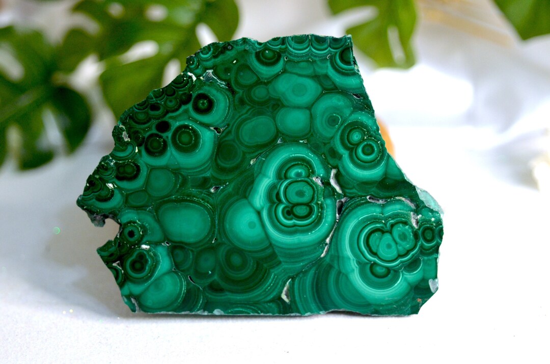 Malachite Slab With Beautiful Swirls Collectors Edition - Etsy