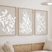 Neutral Botanical Gallery Wall Set, Boho Botanical Print Set of Three ...