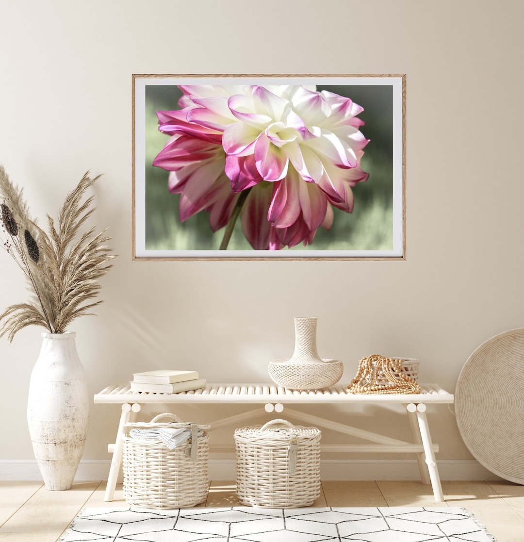 Dahlia Wall Art, Botanical Wall Art, Dahlia Flower Poster, Digital ...
