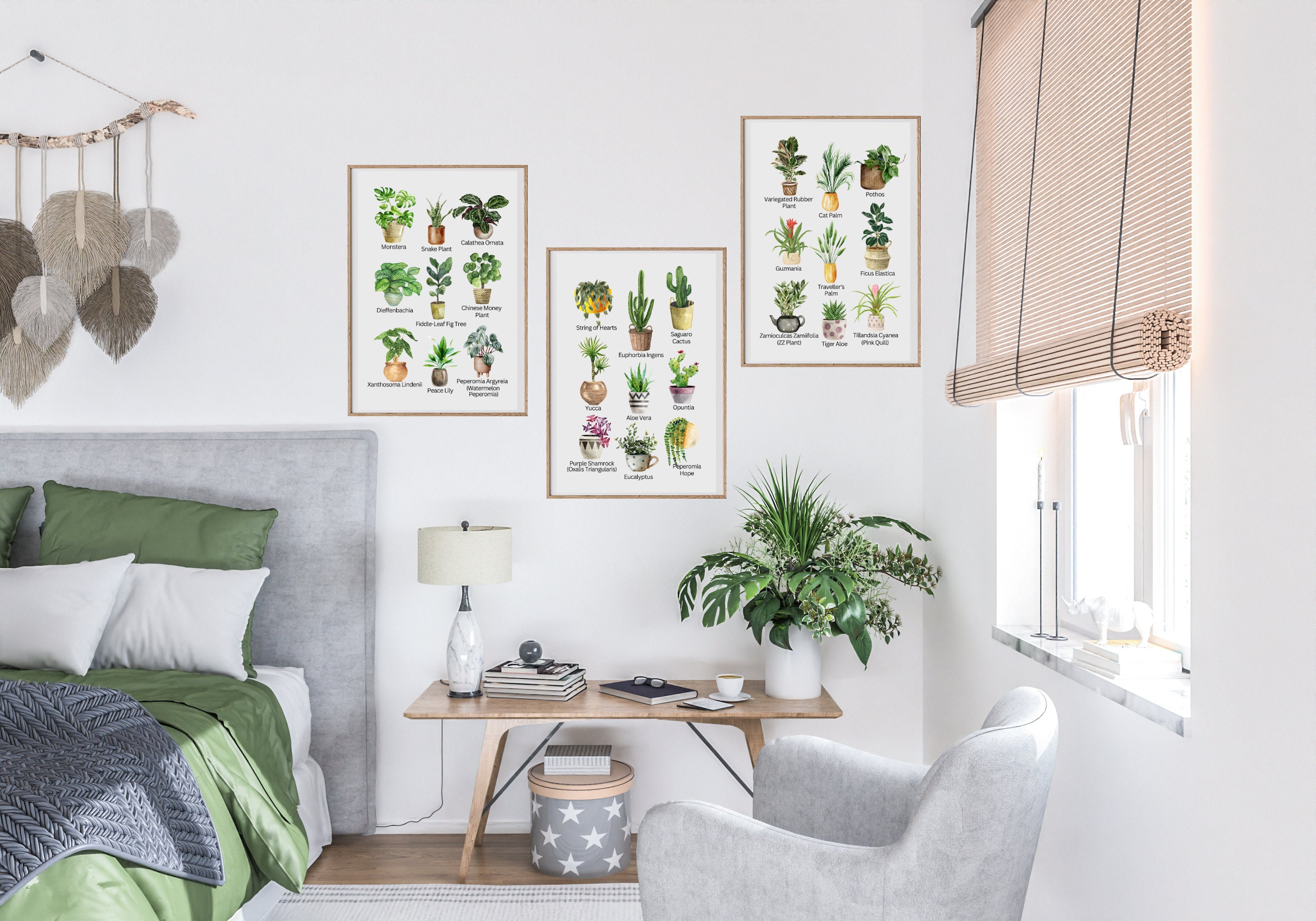 Houseplants Wall Art,indoor Plants Poster,digital Download,botanical ...
