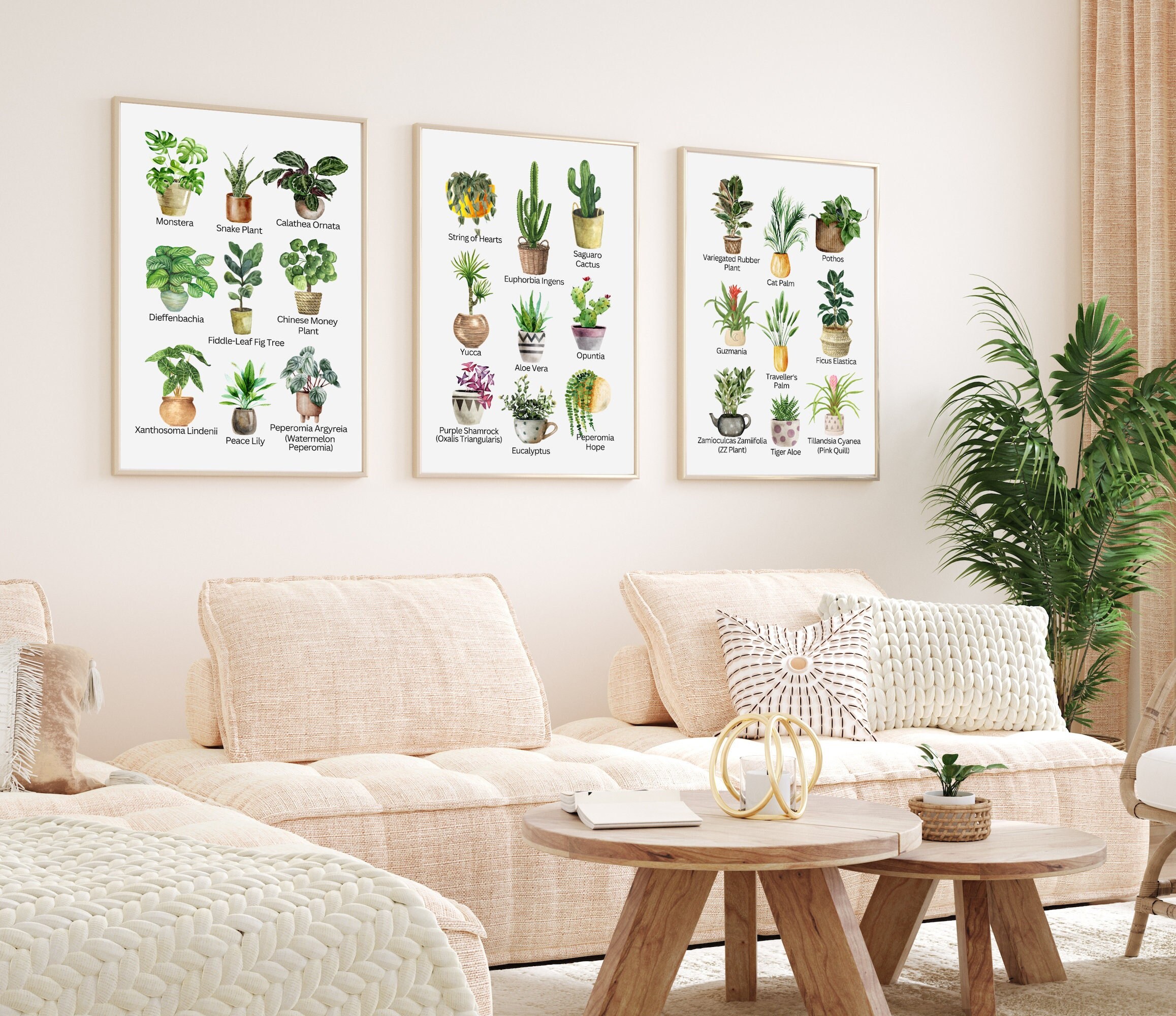 Houseplants Wall Art,indoor Plants Poster,digital Download,botanical ...