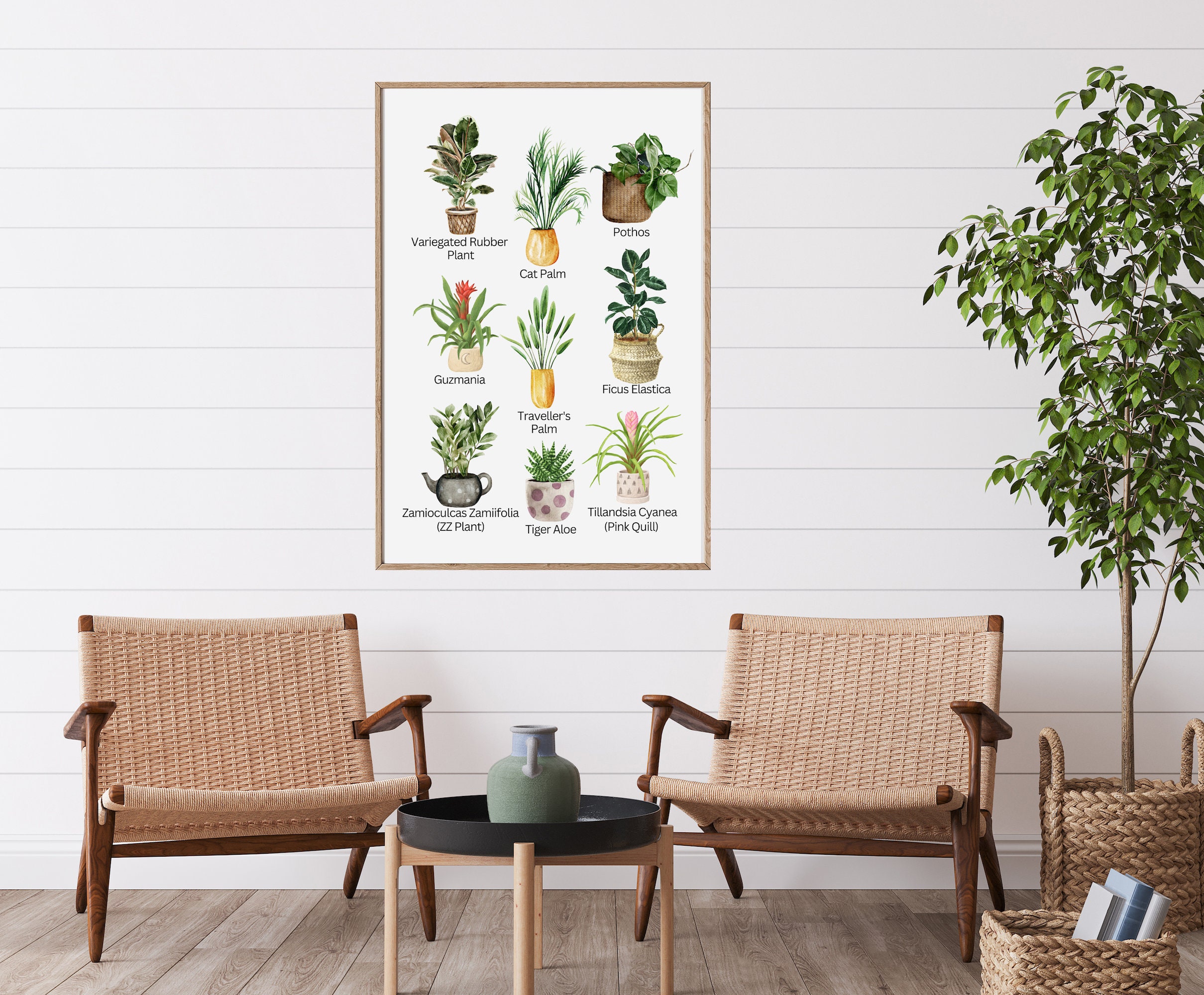 Houseplants Wall Art,indoor Plants Poster,digital Download,botanical ...