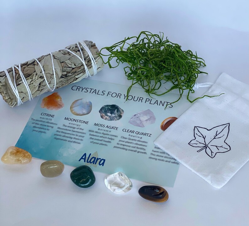 Plant Lovers Gift Set | Crystals for Plants | Home Garden | Stones ...